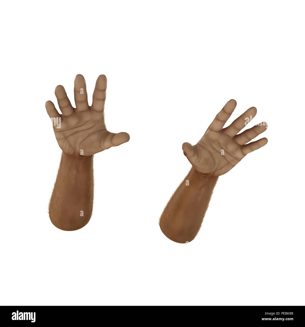 Man Hands Swarthy Skin on white. 3D illustration Stock Photo - Alamy