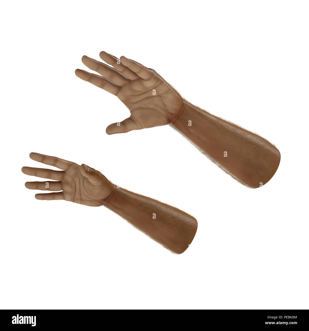 Man Hands Swarthy Skin on white. 3D illustration Stock Photo - Alamy