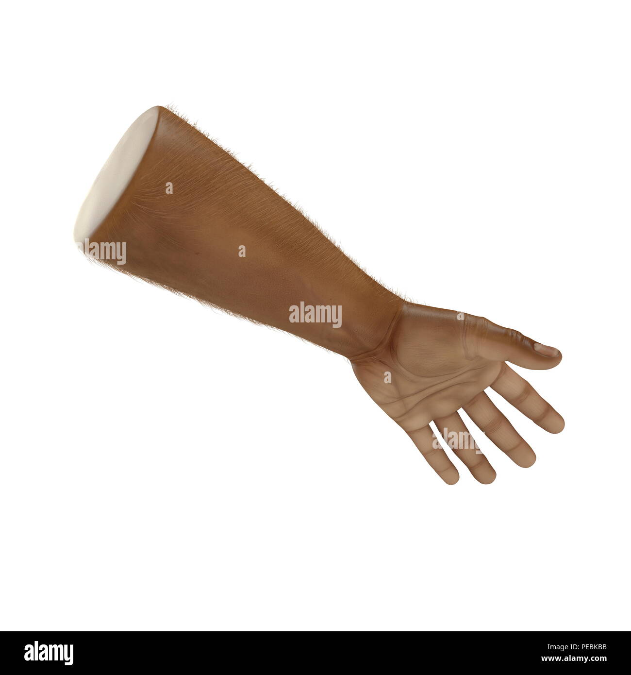 Man Hands Swarthy Skin on white. 3D illustration Stock Photo - Alamy