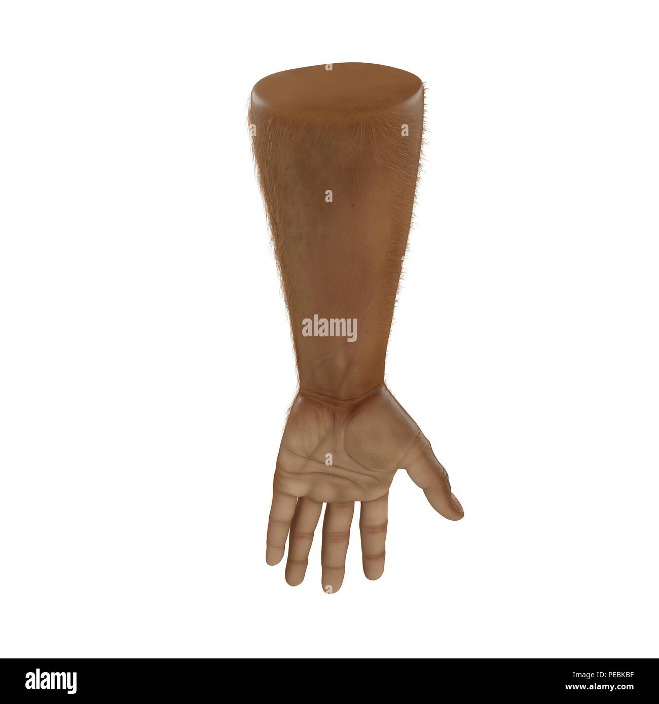 Man Hands Swarthy Skin on white. 3D illustration Stock Photo - Alamy