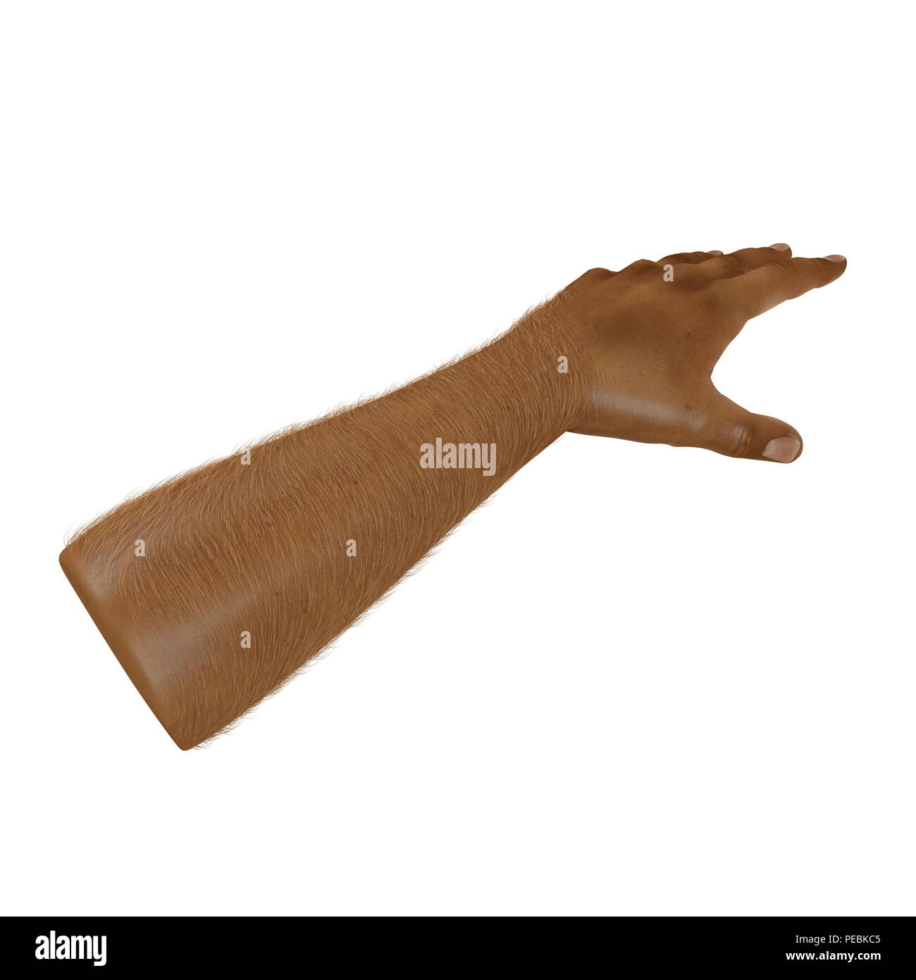 Man Hands Swarthy Skin on white. 3D illustration Stock Photo - Alamy