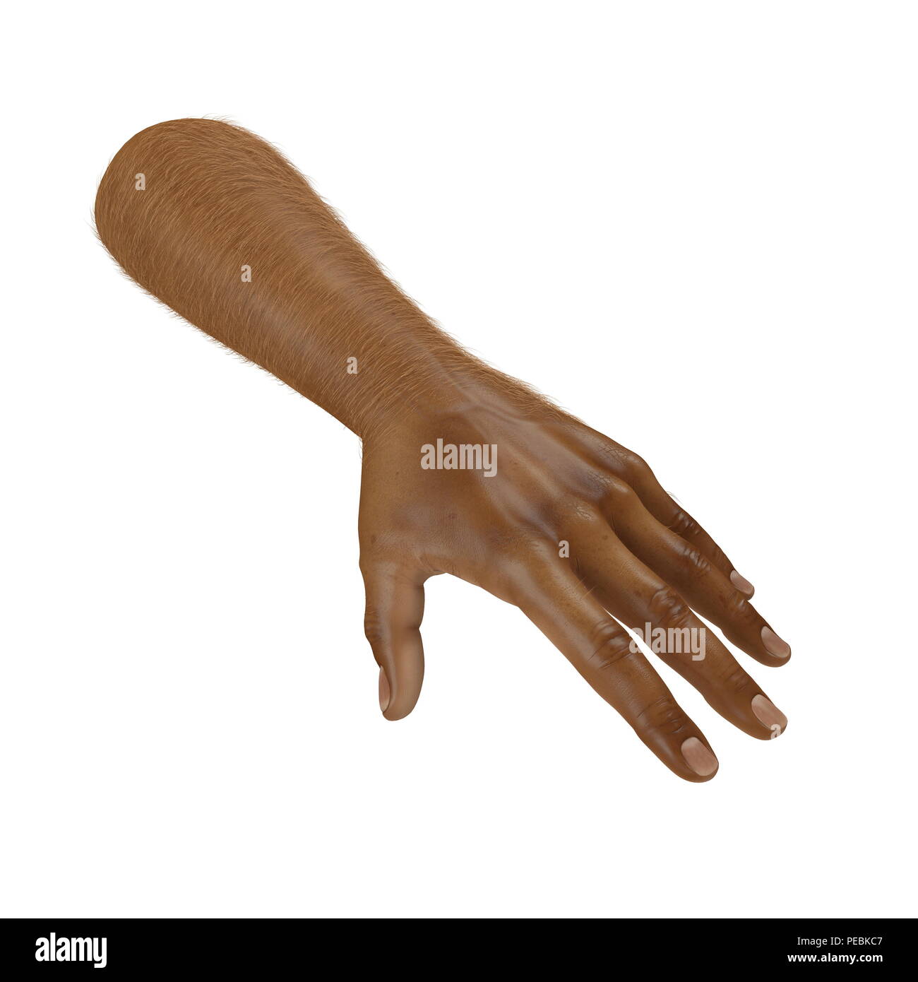 Man Hands Swarthy Skin on white. 3D illustration Stock Photo - Alamy