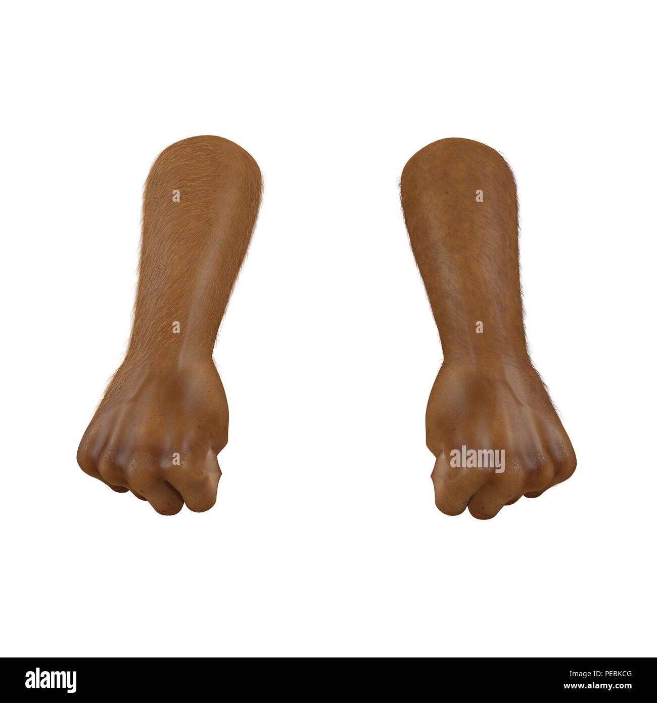 Man hand Swarthy Skin clenched into fist on white. 3D illustration ...