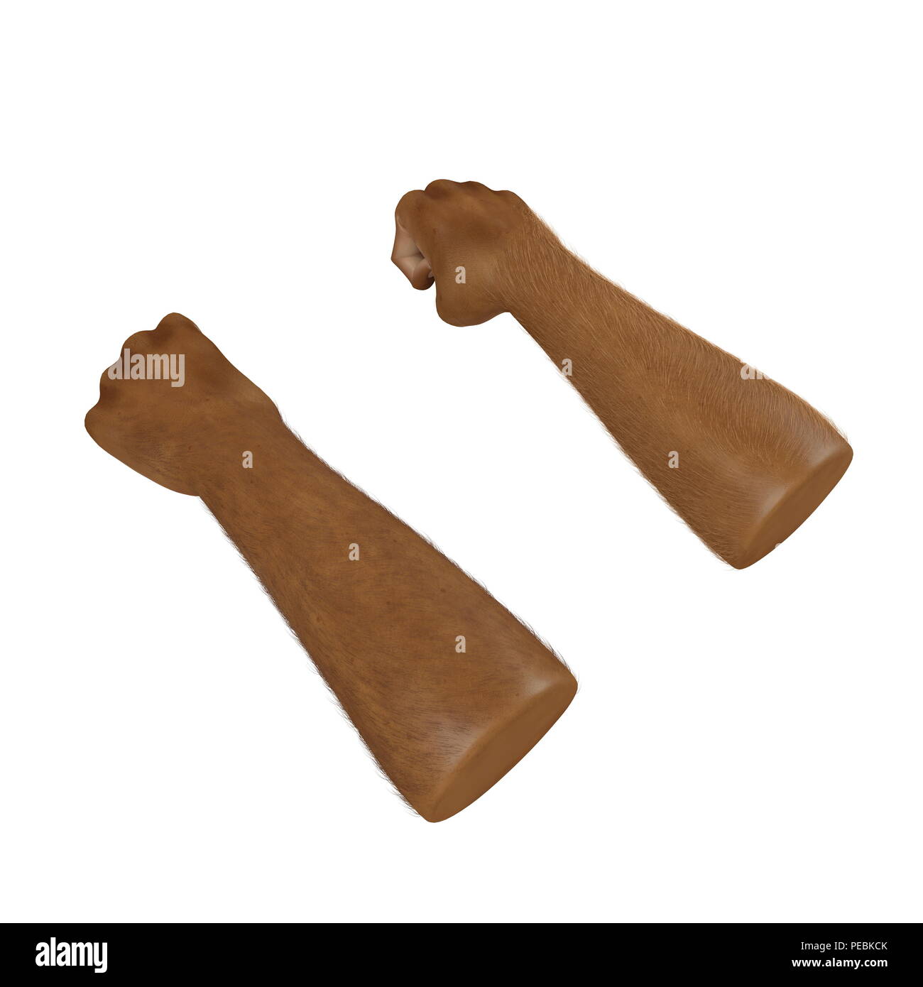 Man hand Swarthy Skin clenched into fist on white. 3D illustration ...