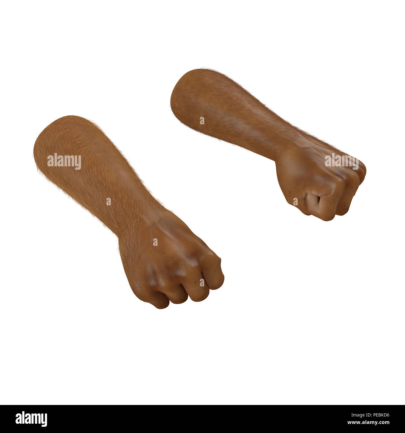 Man hand Swarthy Skin clenched into fist on white. 3D illustration ...