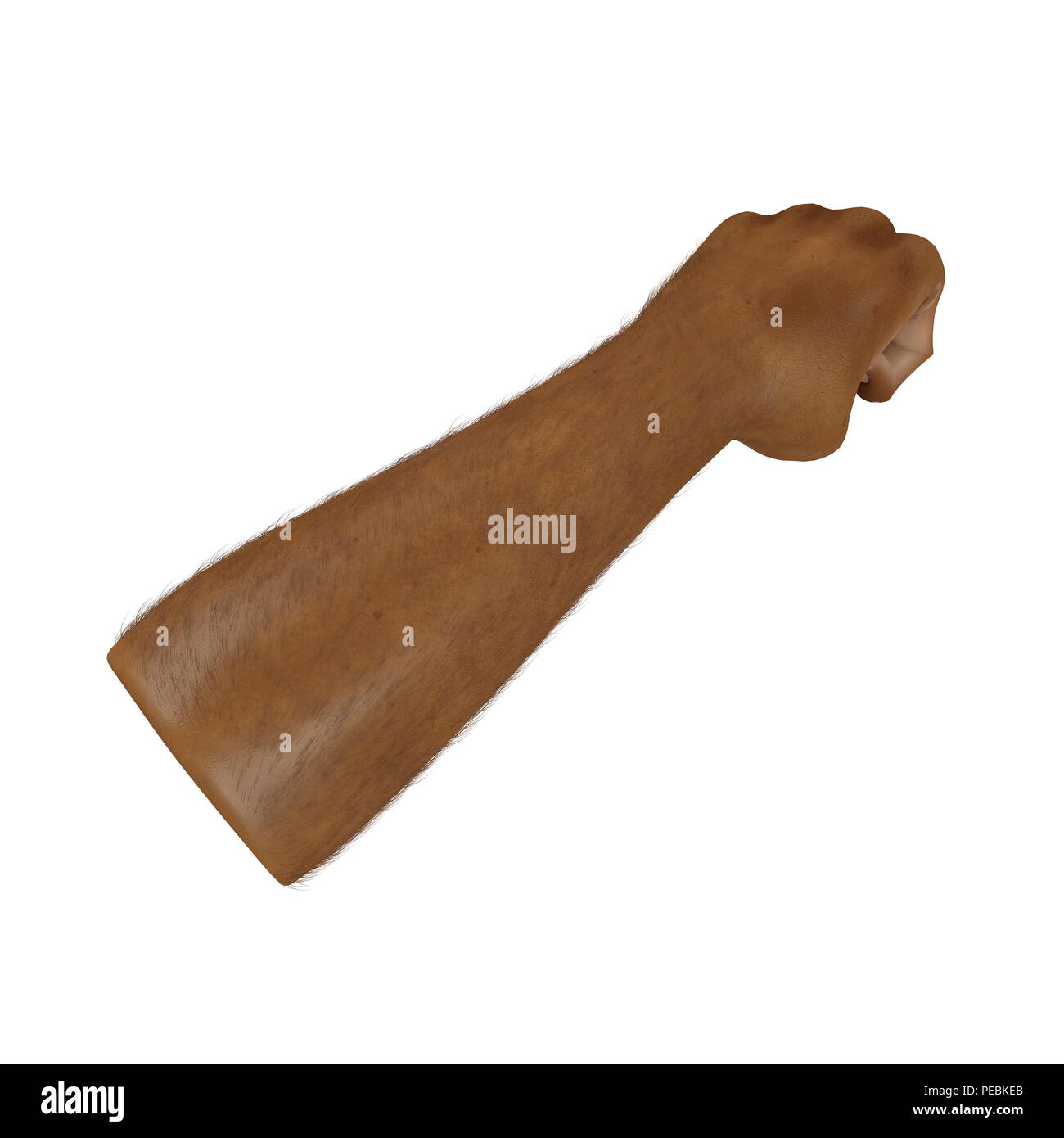 Man hand Swarthy Skin clenched into fist on white. 3D illustration ...