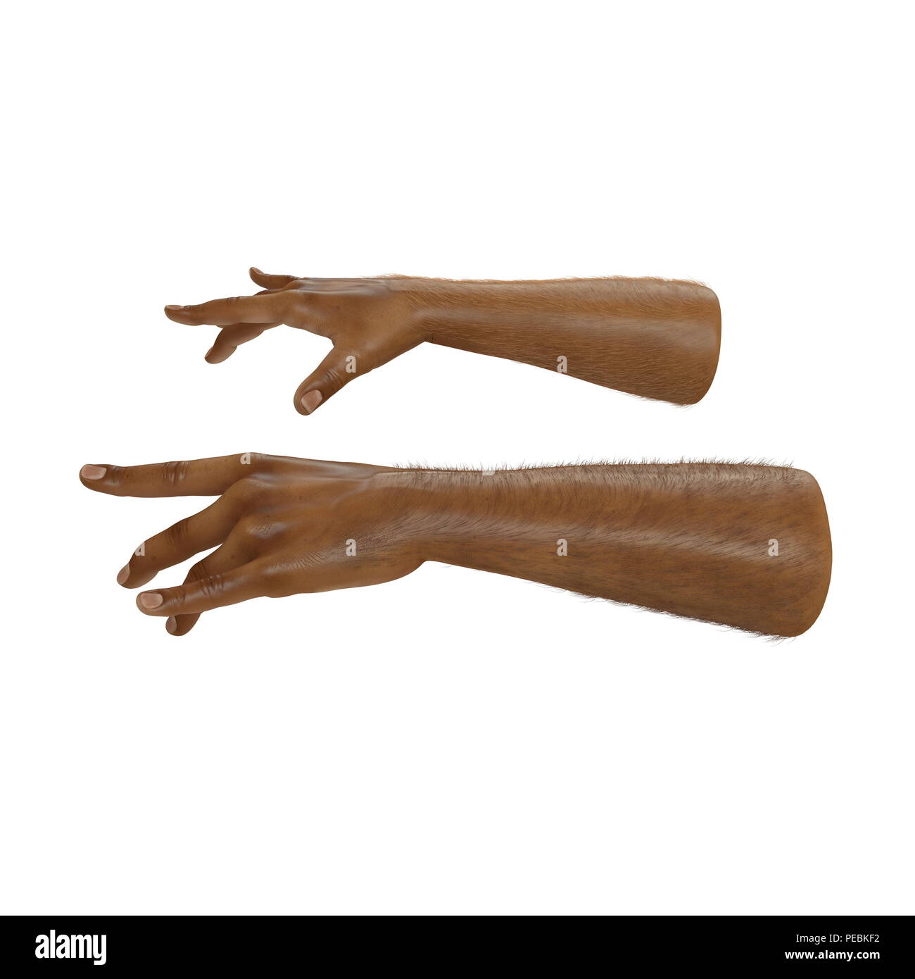 Man Hands Swarthy Skin on white. 3D illustration Stock Photo - Alamy