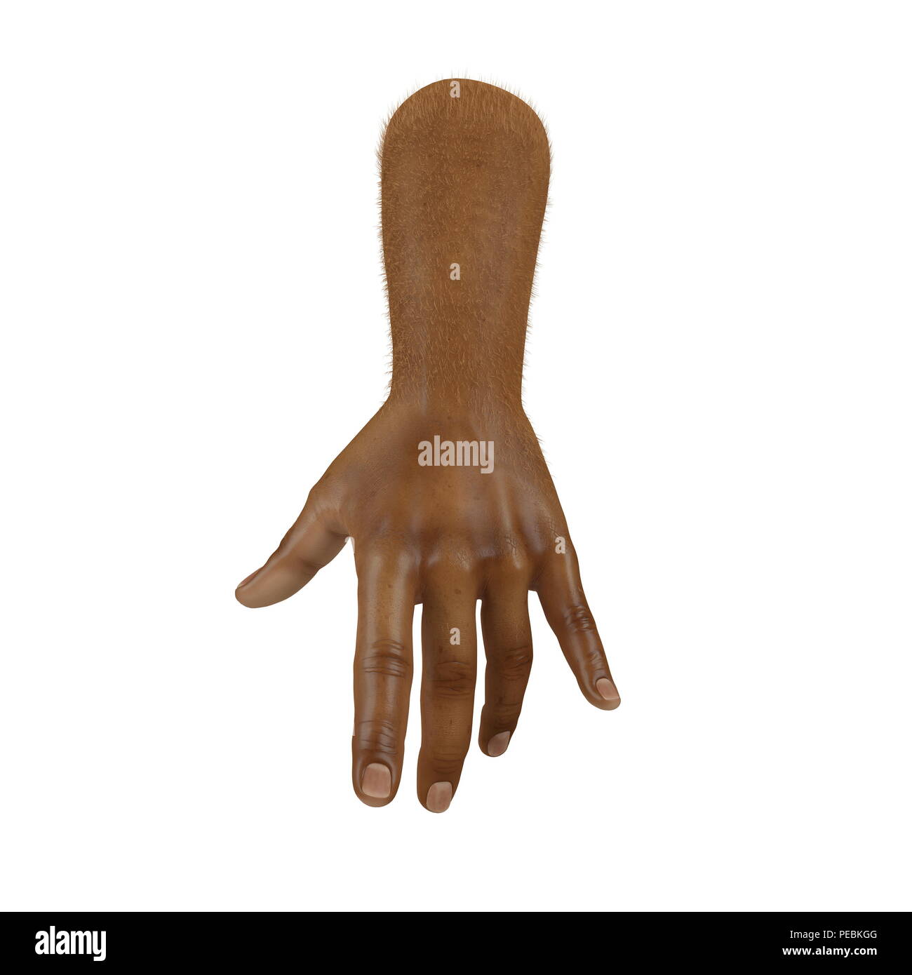 Man Hands Swarthy Skin on white. 3D illustration Stock Photo - Alamy