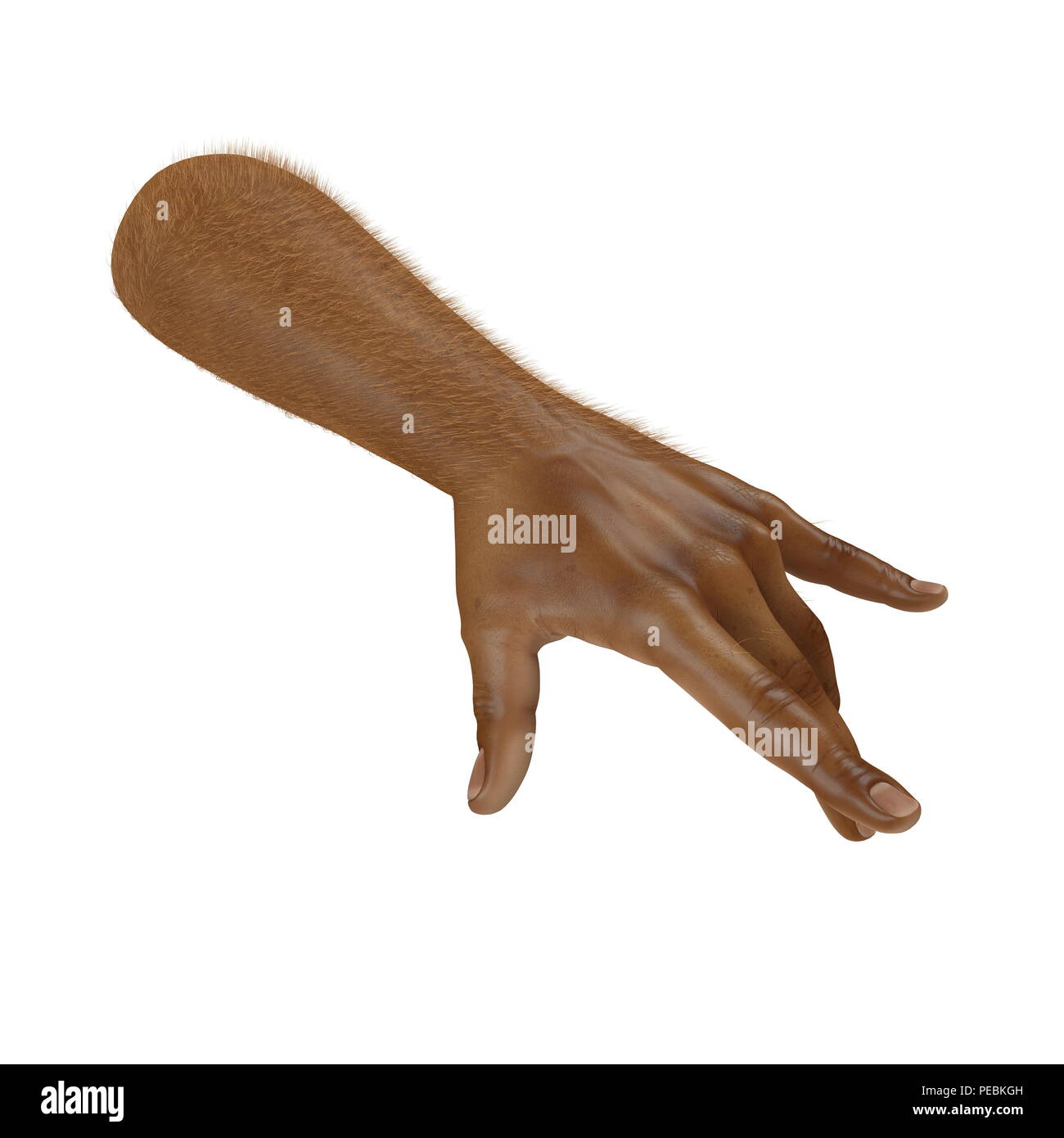 Man Hands Swarthy Skin on white. 3D illustration Stock Photo - Alamy