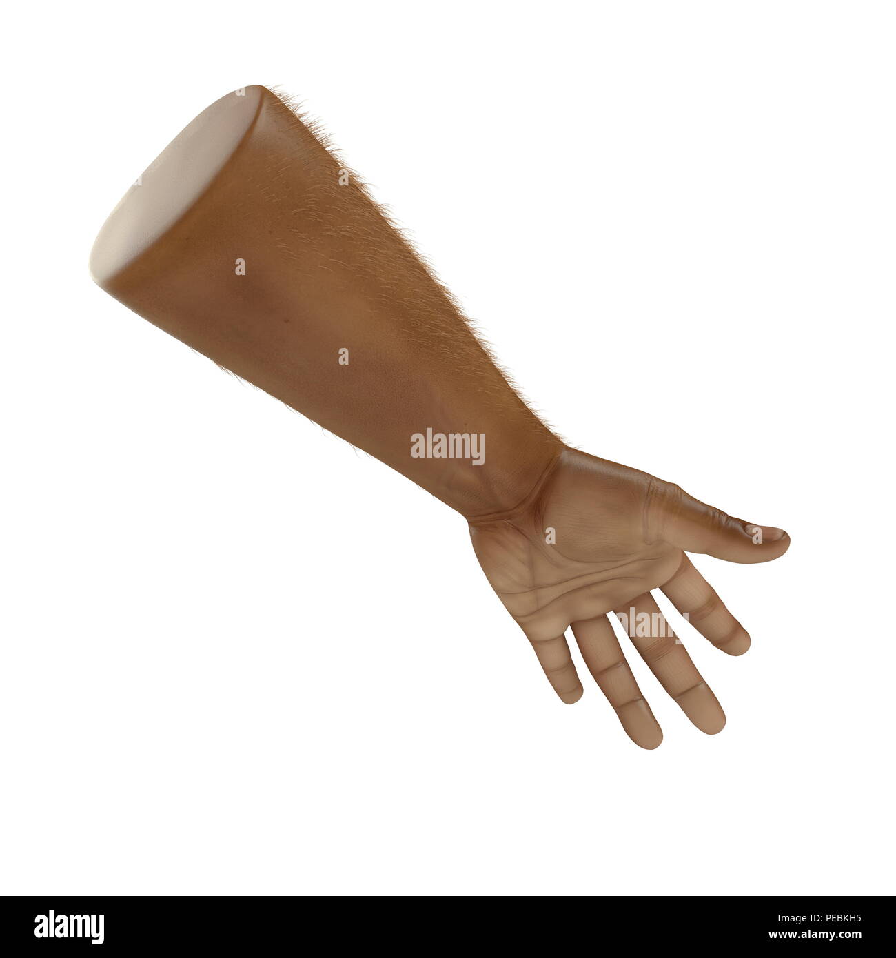 Man Hands Swarthy Skin on white. 3D illustration Stock Photo - Alamy
