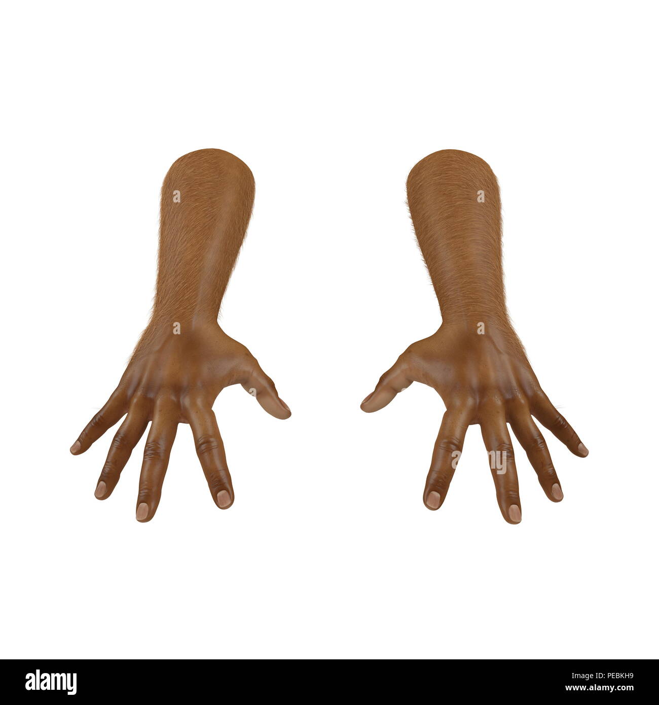 Man Hands Swarthy Skin on white. 3D illustration Stock Photo - Alamy