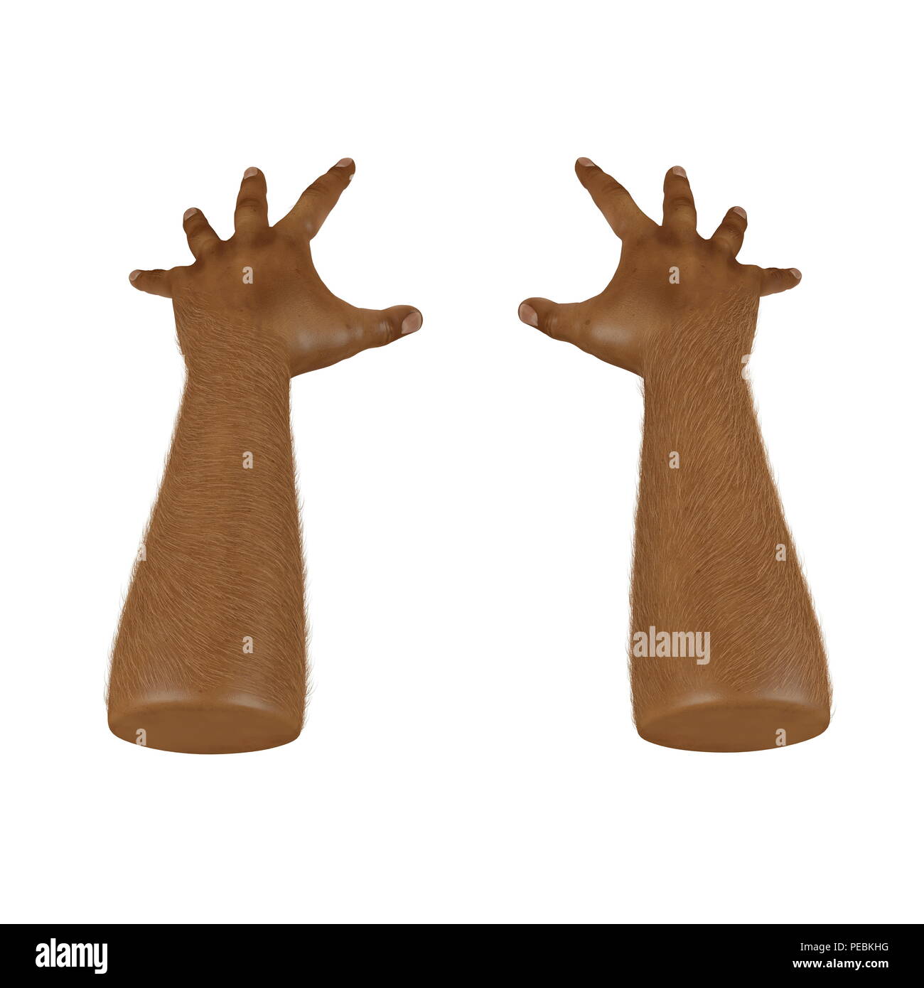 Man Hands Swarthy Skin on white. 3D illustration Stock Photo - Alamy