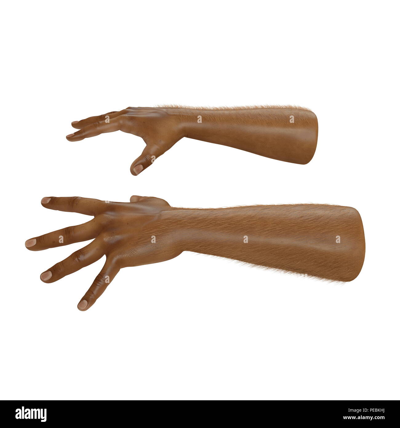 Man Hands Swarthy Skin on white. 3D illustration Stock Photo - Alamy