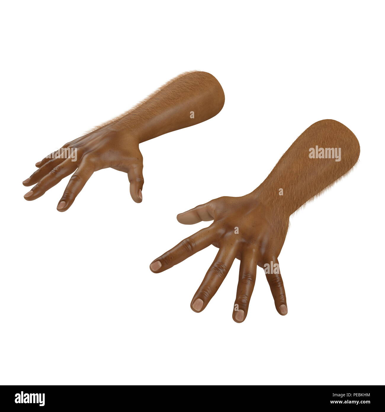 Man Hands Swarthy Skin on white. 3D illustration Stock Photo - Alamy