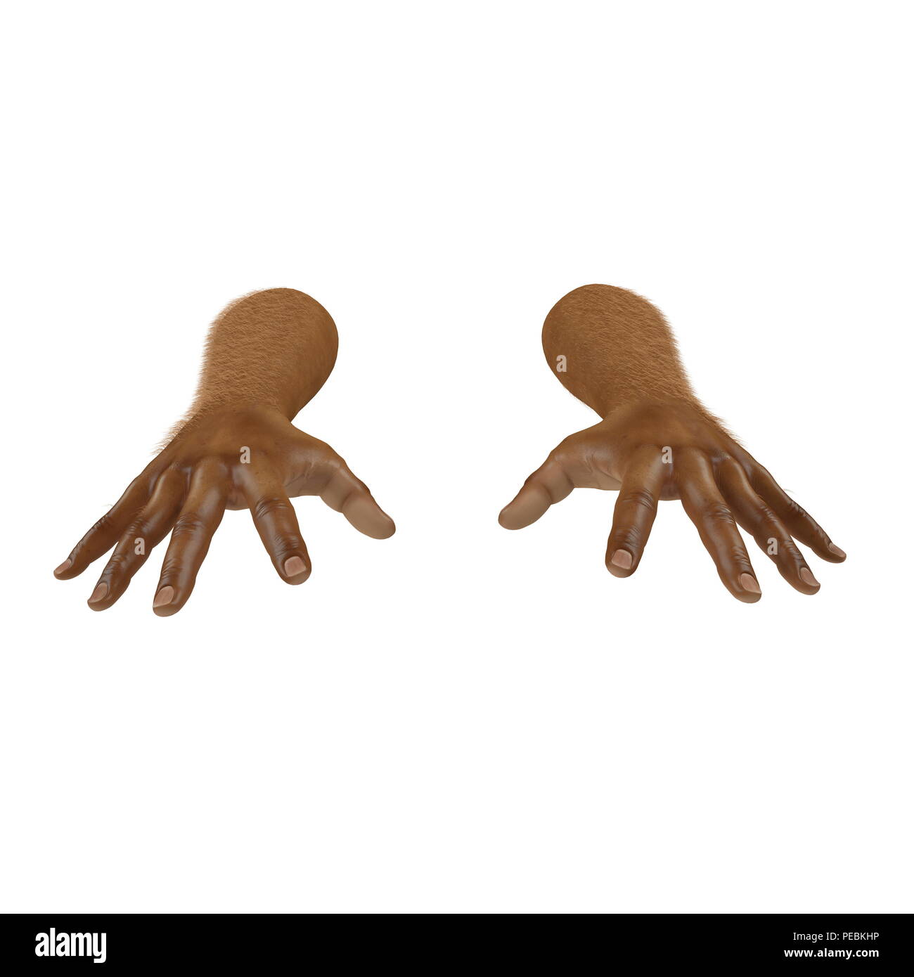 Man Hands Swarthy Skin on white. 3D illustration Stock Photo - Alamy