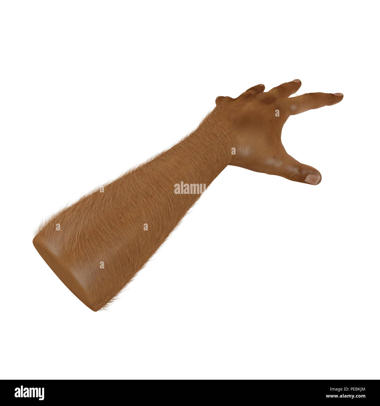 Man Hands Swarthy Skin on white. 3D illustration Stock Photo - Alamy