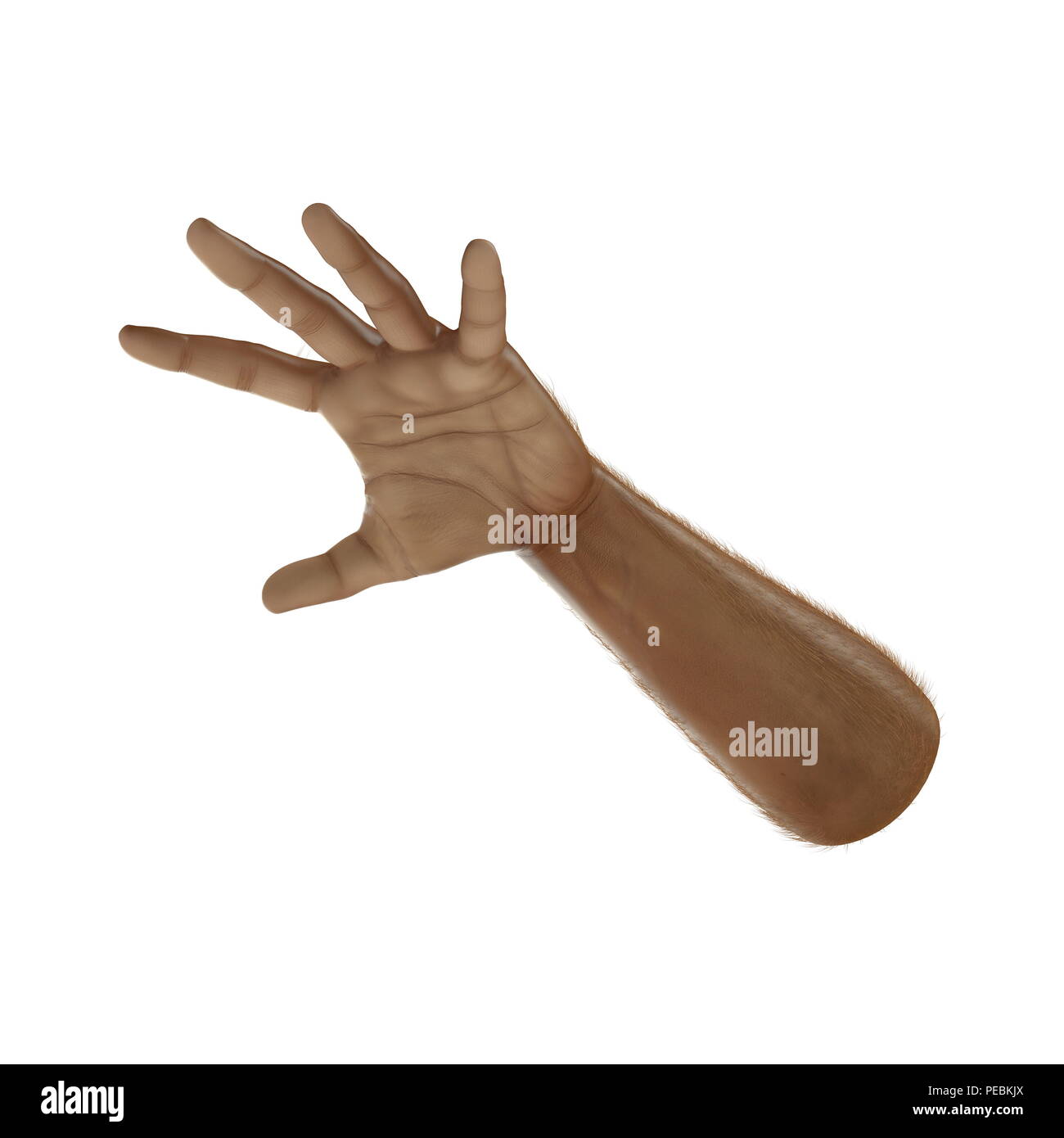 Man Hands Swarthy Skin on white. 3D illustration Stock Photo - Alamy