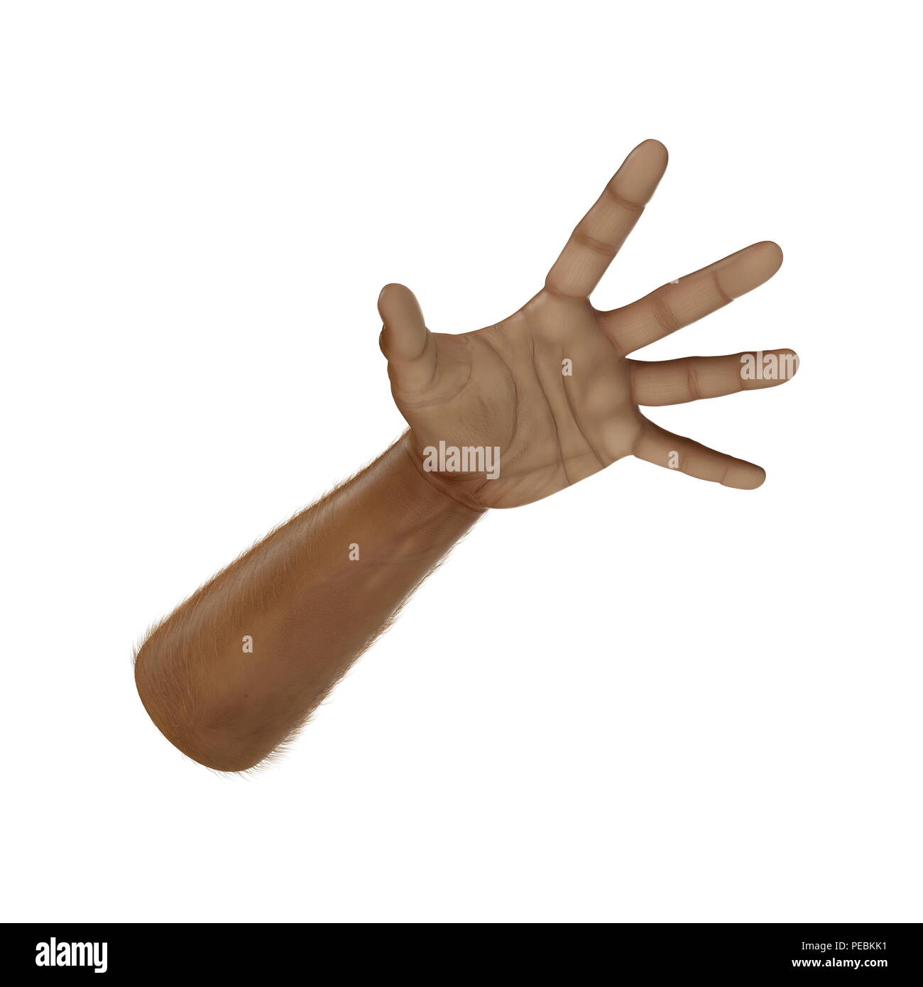 Man Hands Swarthy Skin on white. 3D illustration Stock Photo - Alamy