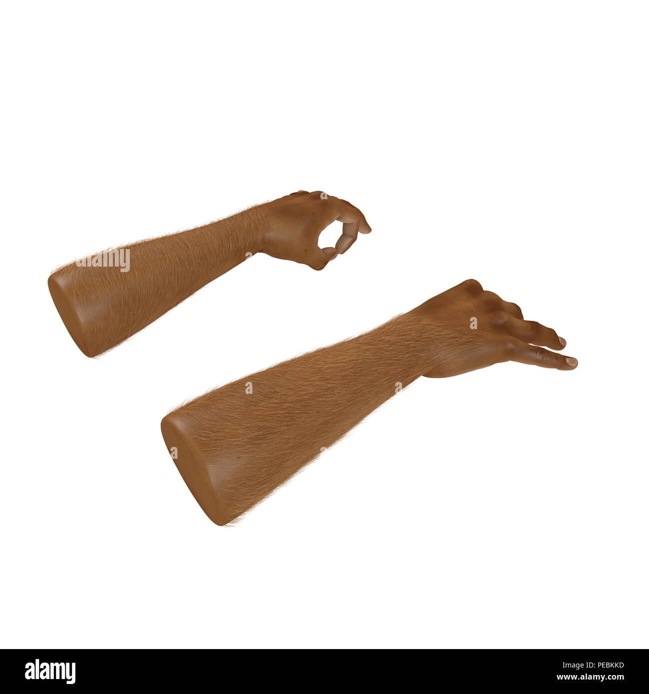 Man Hands ok sign Swarthy Skin on white. 3D illustration Stock Photo ...