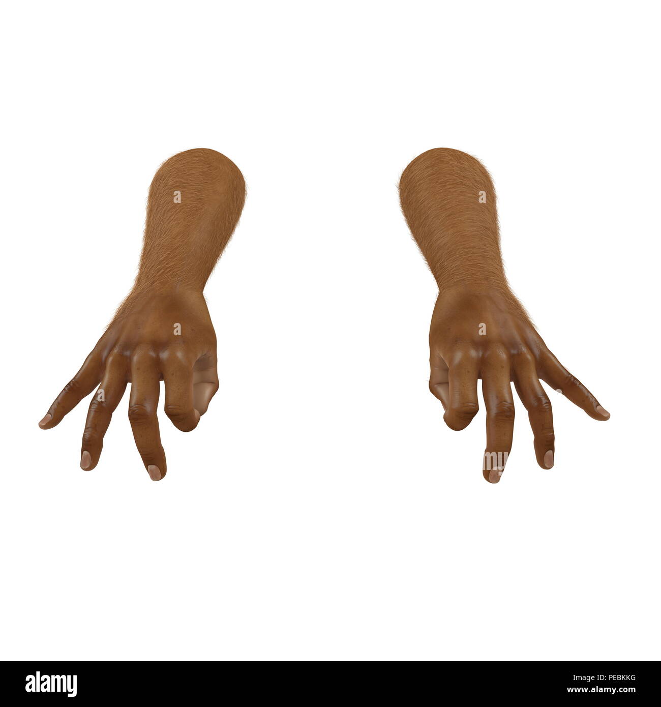 Swarthy skin hi-res stock photography and images - Alamy