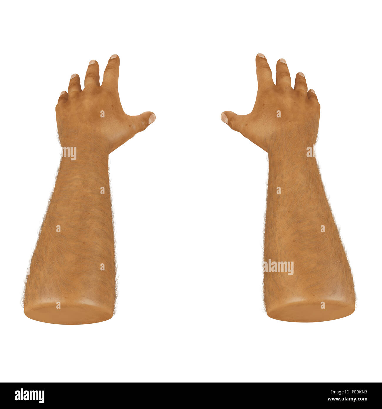 3d rendering man hands Cut Out Stock Images & Pictures - Alamy