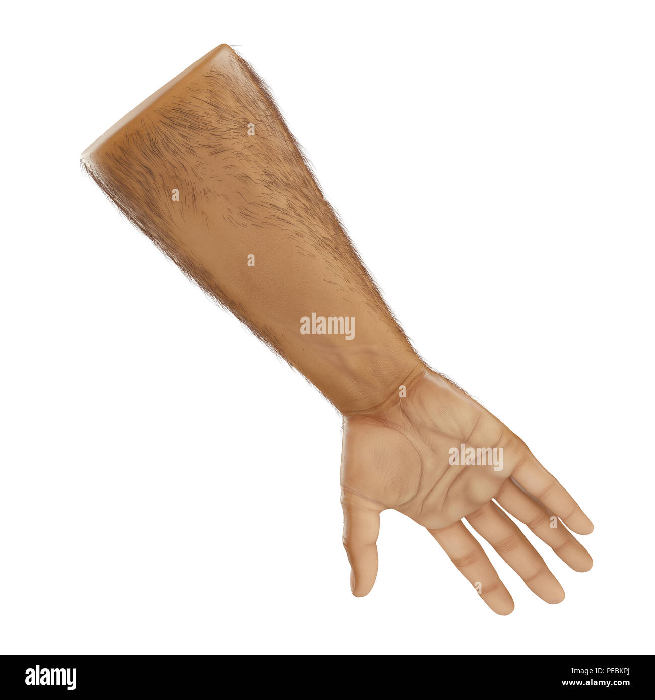 3d rendering man hands Cut Out Stock Images & Pictures - Alamy
