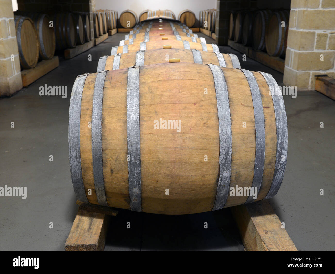 Casks in wine cellar and bottle Stock Photo - Alamy