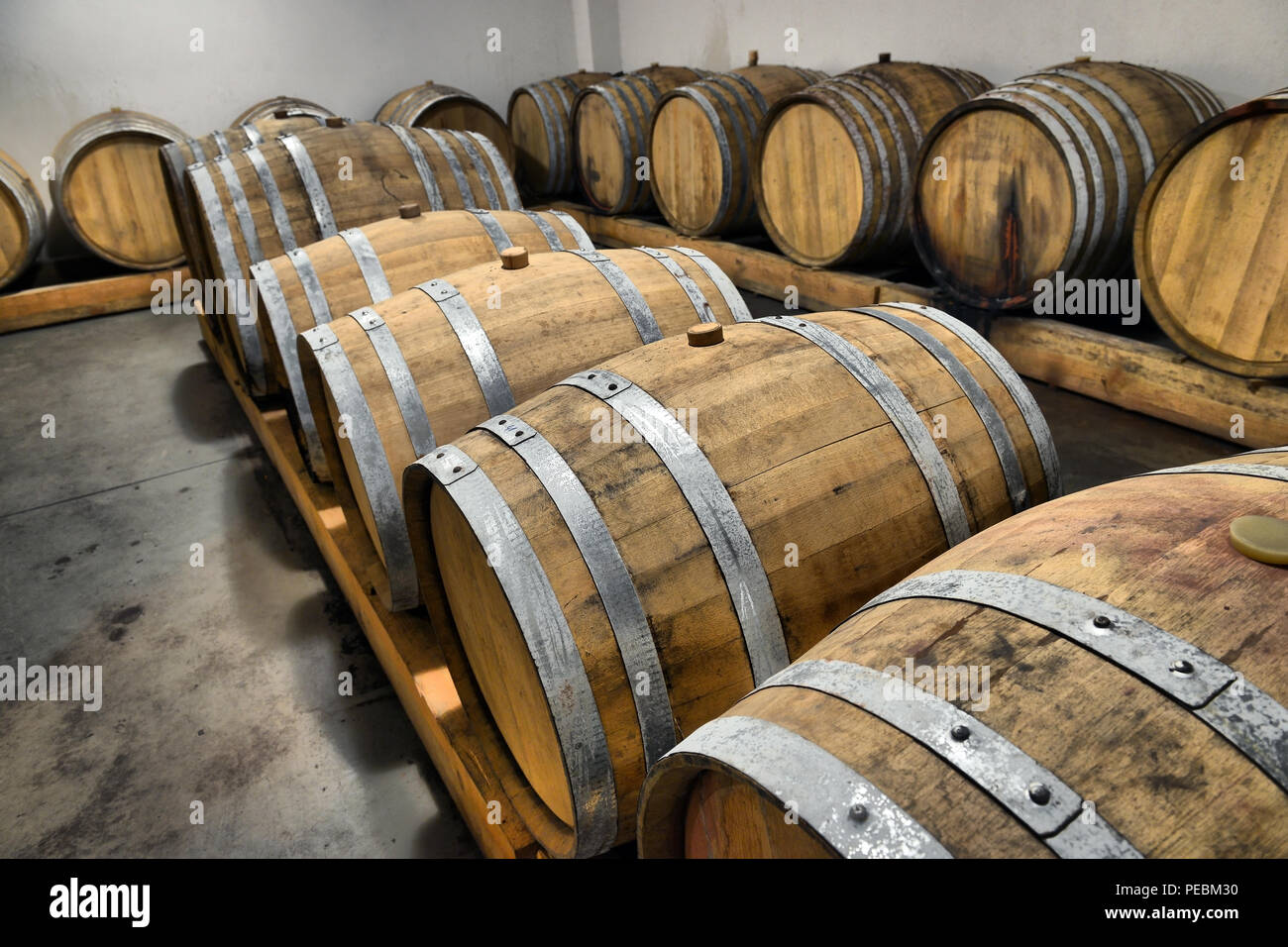 Casks in wine cellar Stock Photo - Alamy