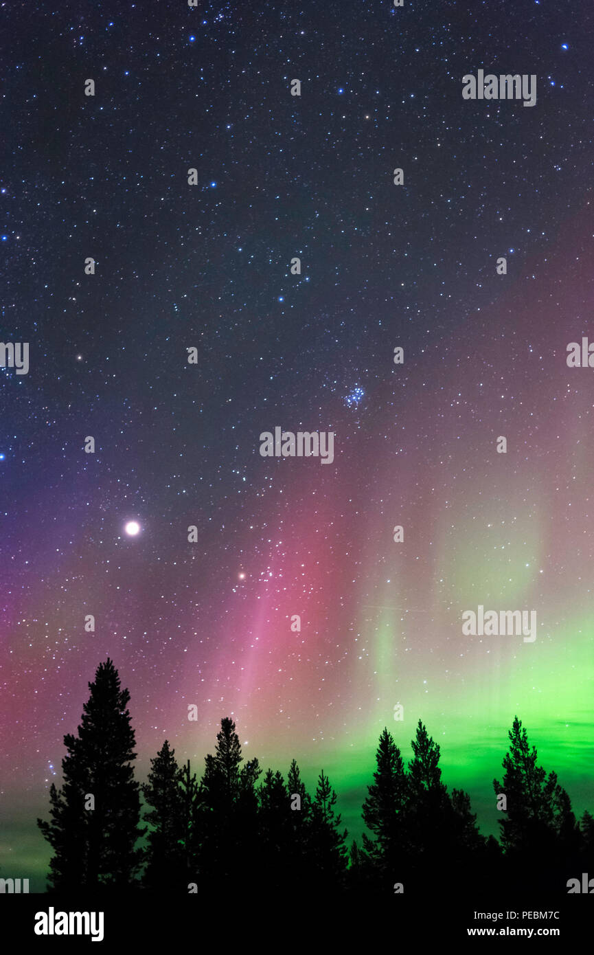 Solar System Jupiter Aurora