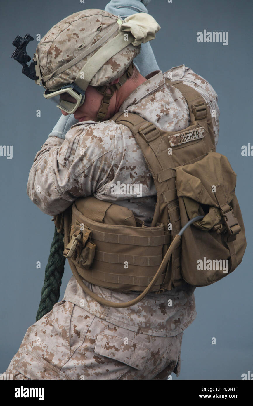 William scherer hi-res stock photography and images - Alamy