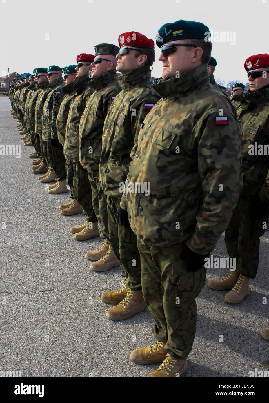 Soldiers from Multinational Battle Group-East Polish contingent stand ...