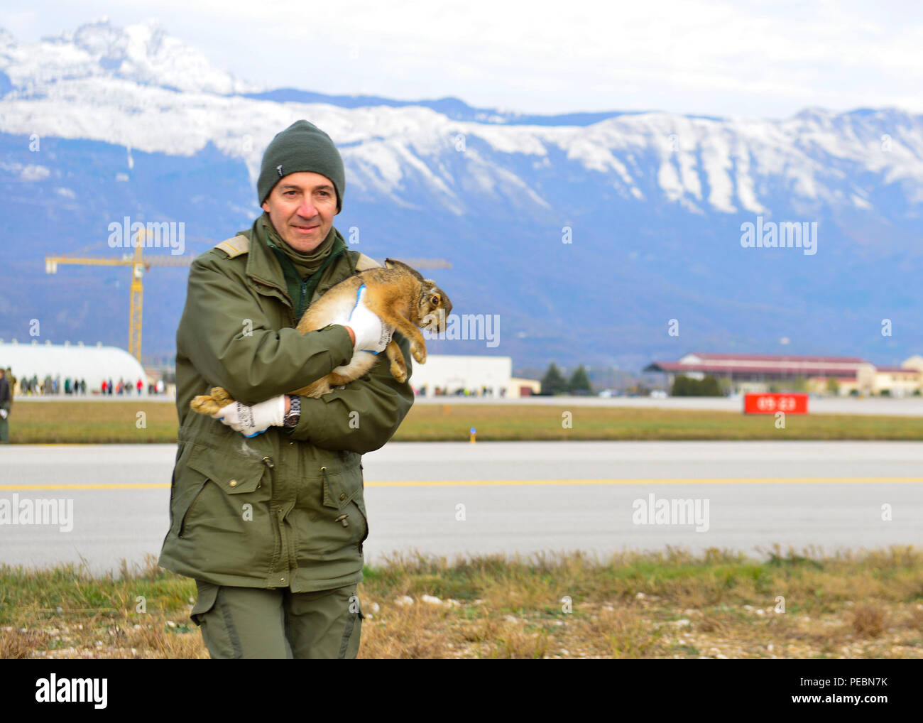 An Italian Corpo Forestale member takes a rabbit to a crate for later ...