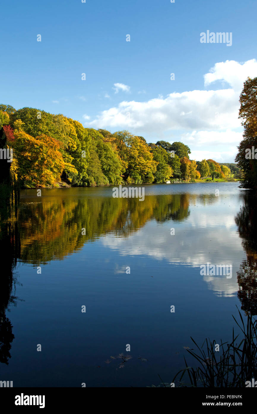 Harewood yorkshire lake hi-res stock photography and images - Alamy