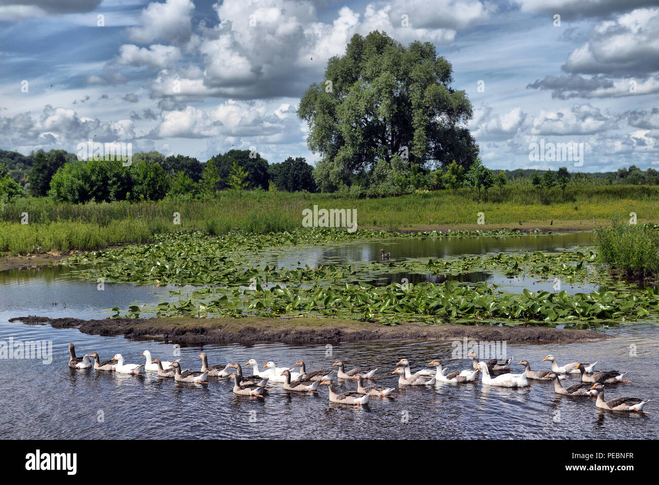 Sula river hi-res stock photography and images - Alamy