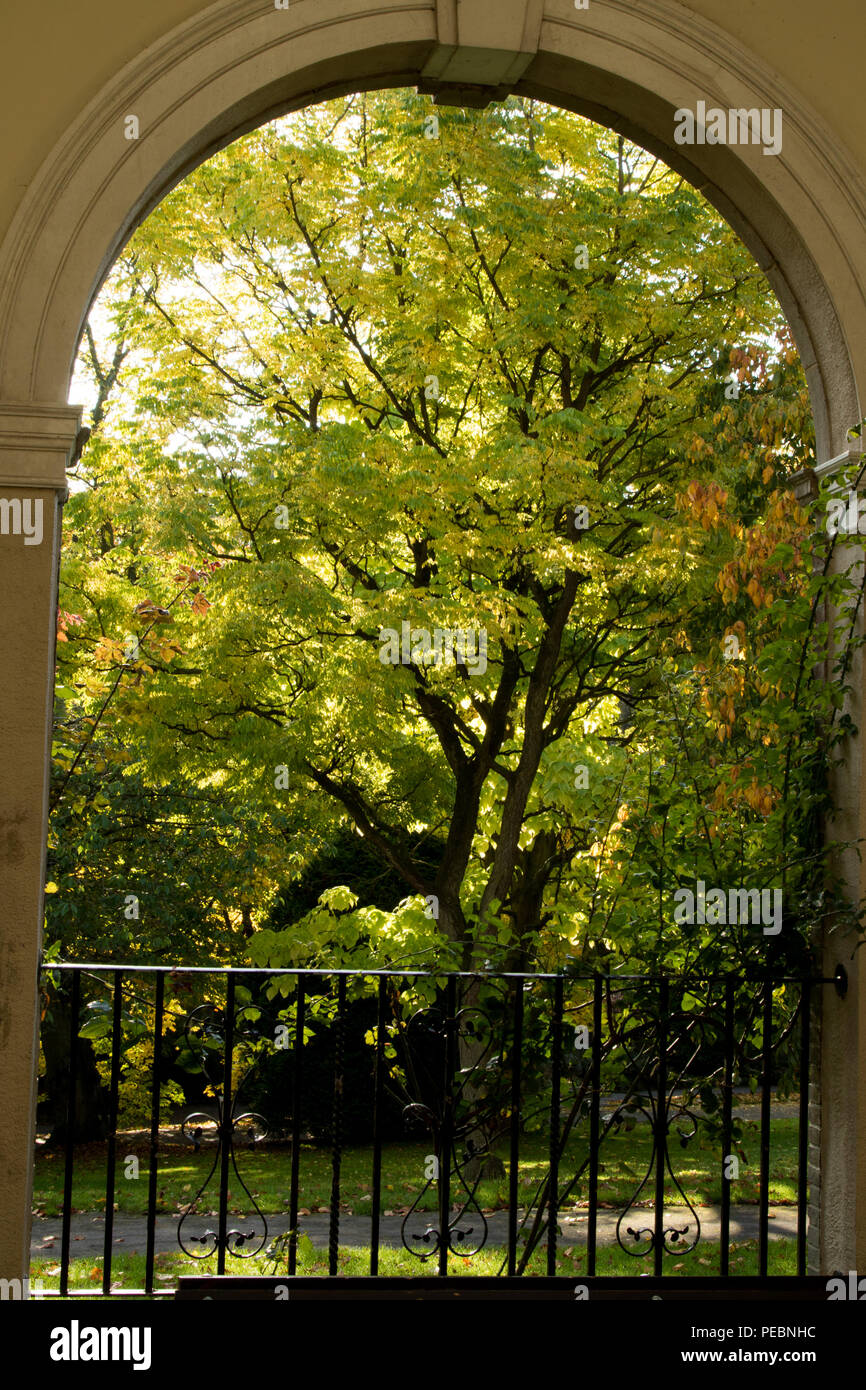 Autumnal trees through an arched window in a public park Stock Photo ...