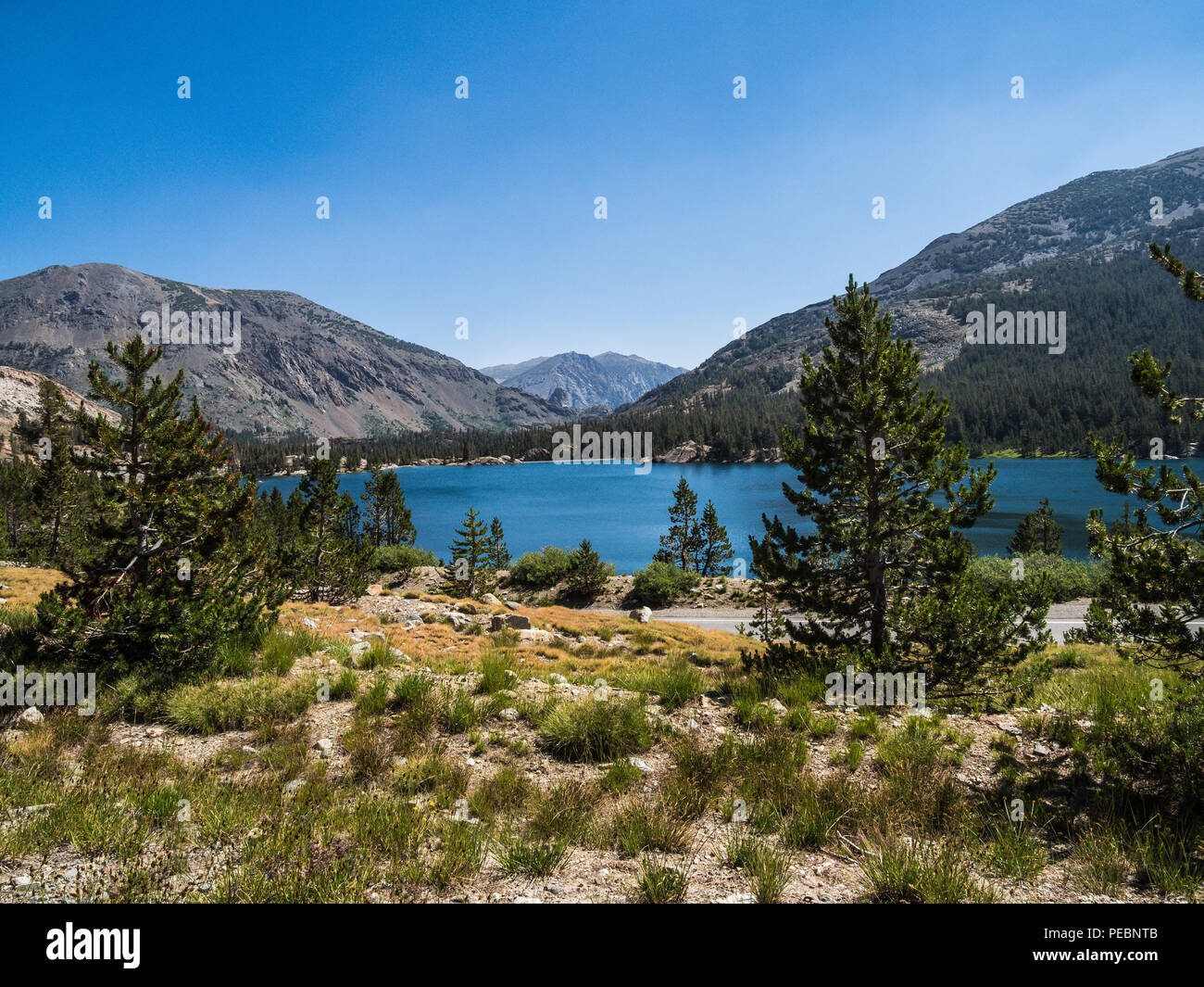 tioga lake from bennettsville mine trail, tuolumne meadows, ca Stock ...