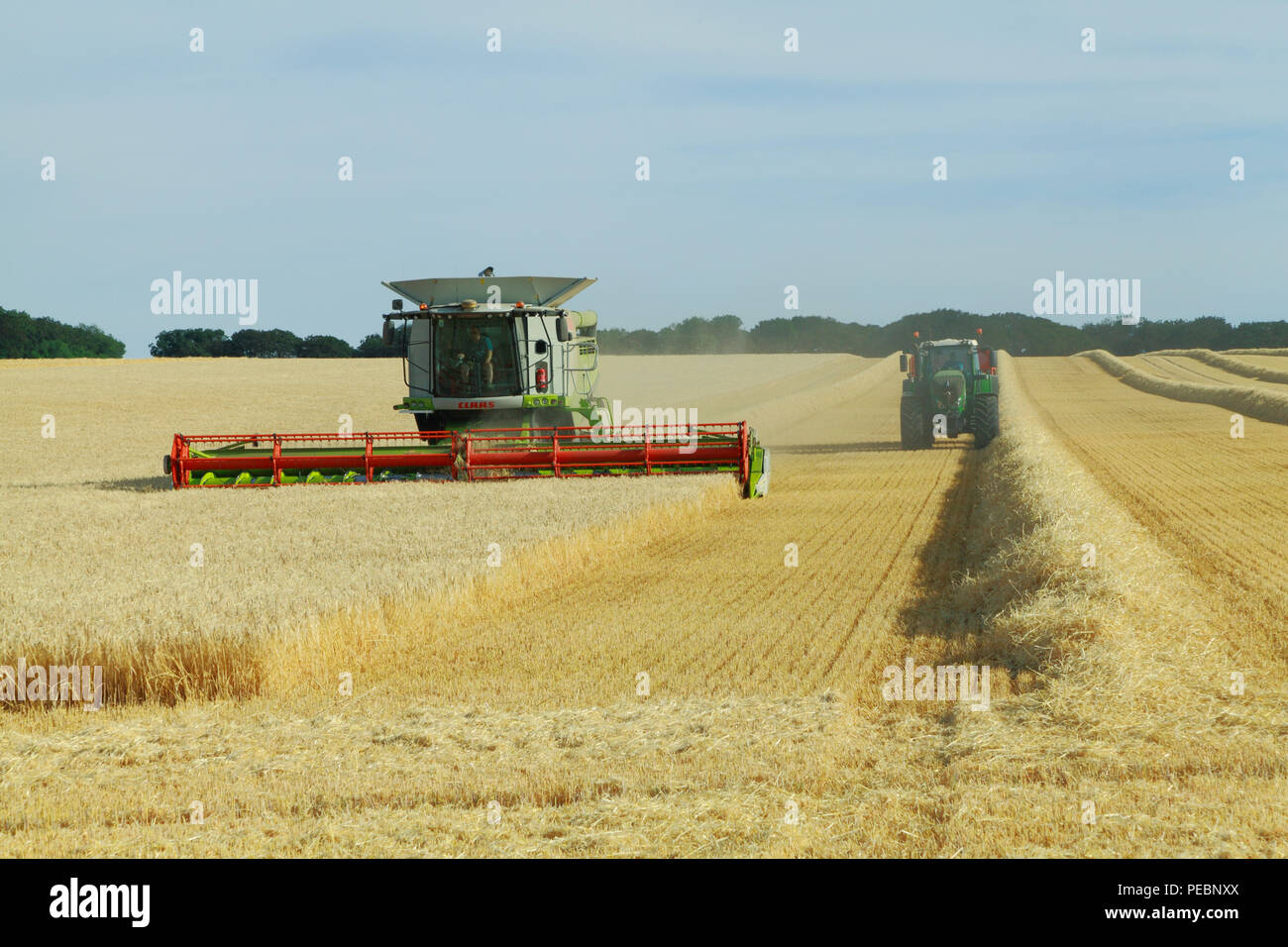 Barley, field, harvest, harvester, machine, combine, Claas Lexion 760 ...