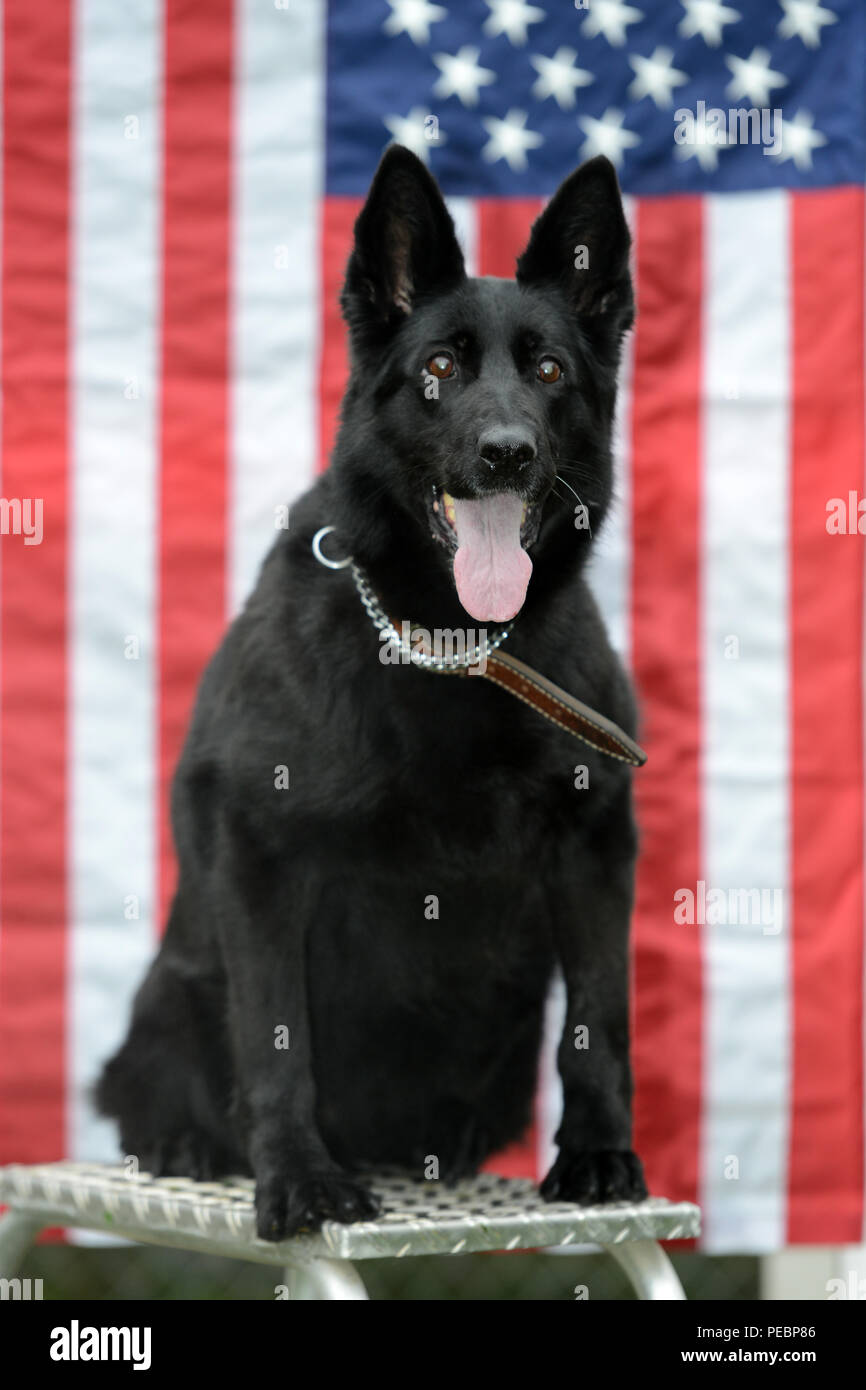 554th mp company hi-res stock photography and images - Alamy