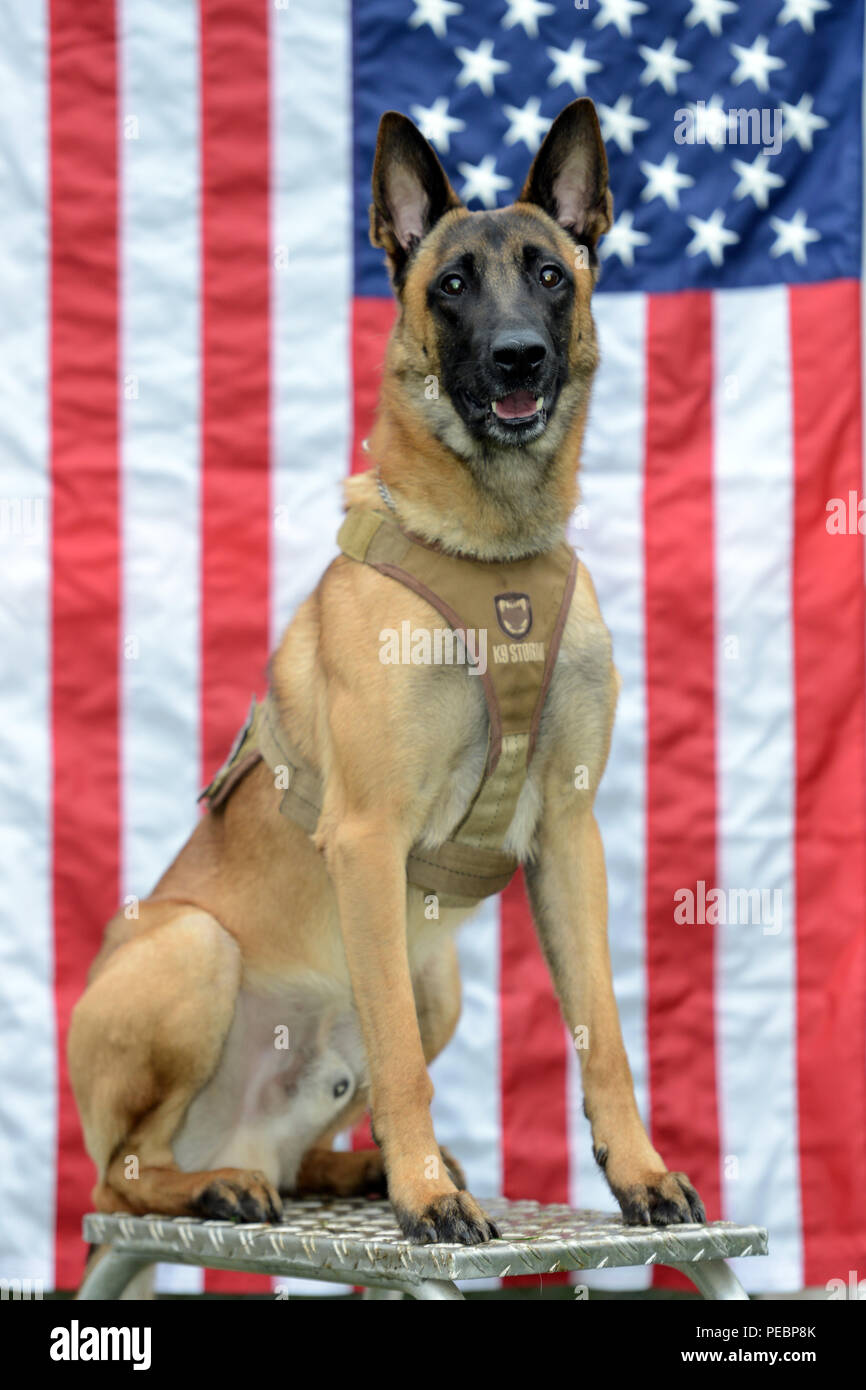 554th mp company hi-res stock photography and images - Alamy