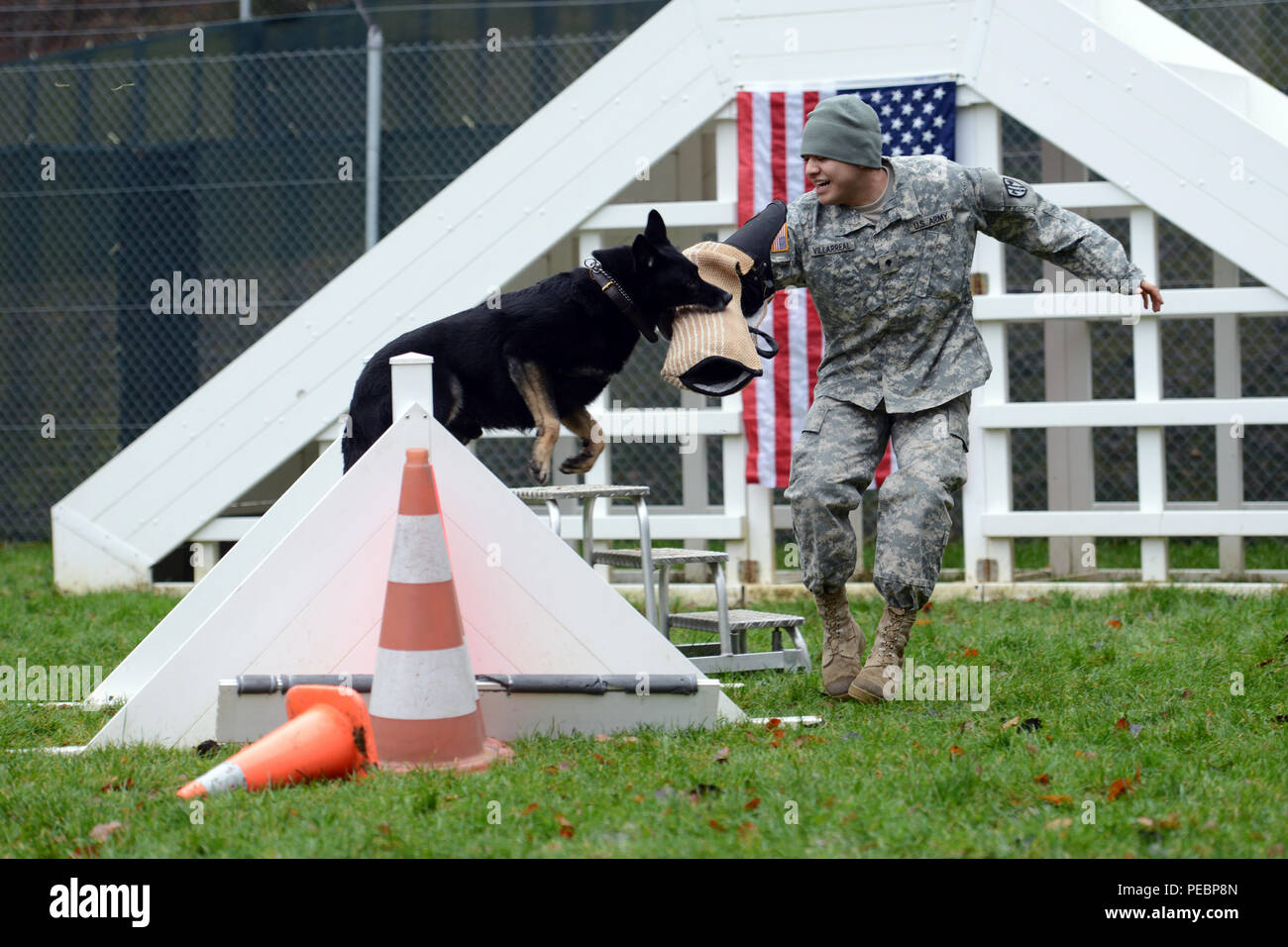 U.S. military working dogs assigned to 554th Military Police Company ...