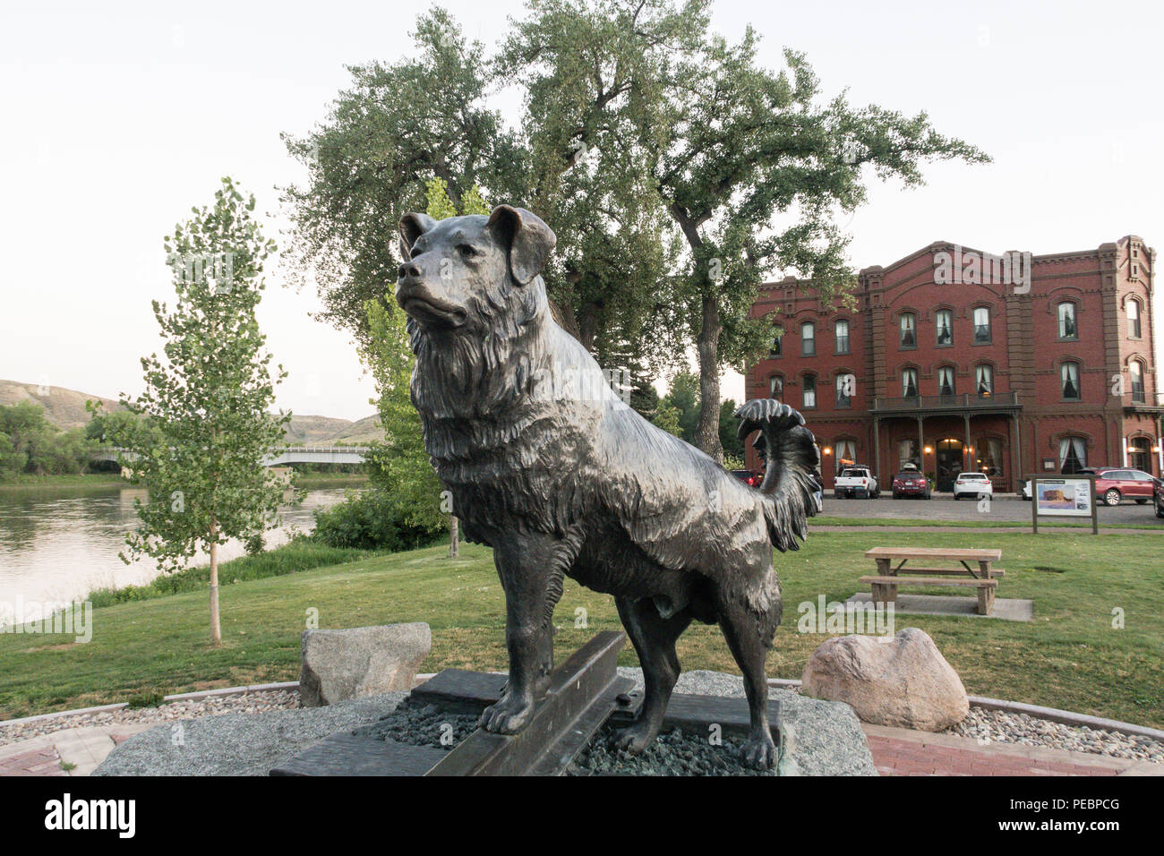 Statue of Dog Shep by Bob Scriver in Fort Benton, Montana, USA Stock ...