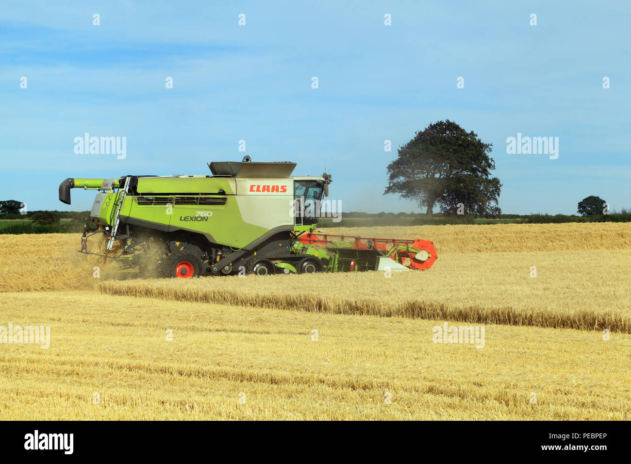 Barley, field, harvest, harvester, machine, combine, Claas Lexion 760 ...