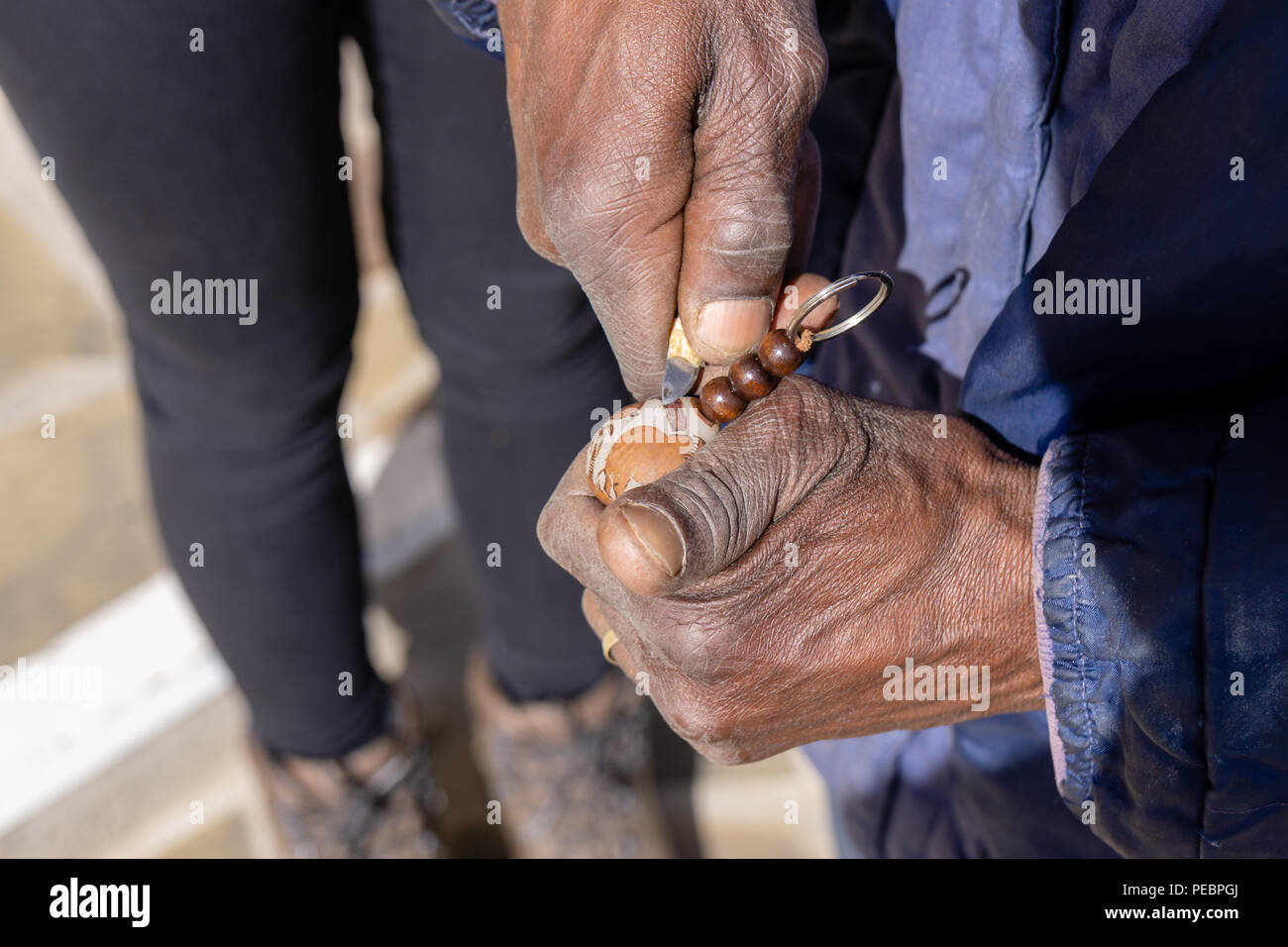 Makalani palm tree hi-res stock photography and images - Alamy