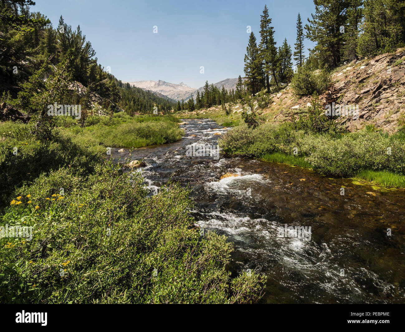lee vining creek from saddlebag lake, lee vining ca Stock Photo - Alamy