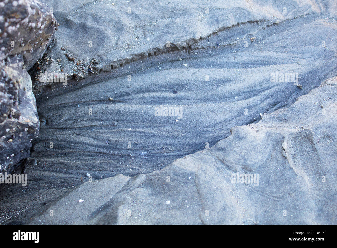 Sand runnel at a beach on the Pacific Ocean Stock Photo - Alamy