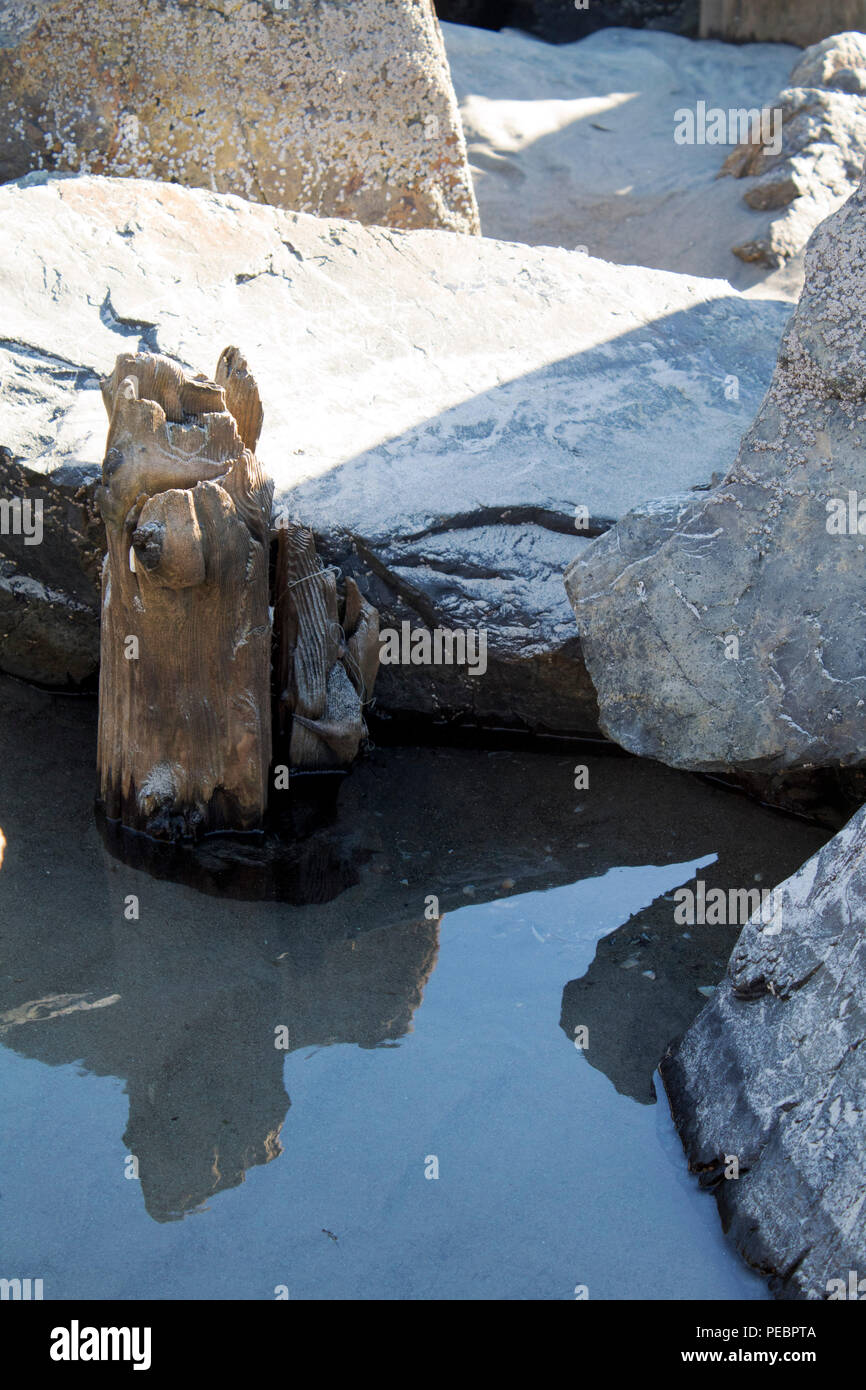 Rock pool next ocean hi-res stock photography and images - Alamy