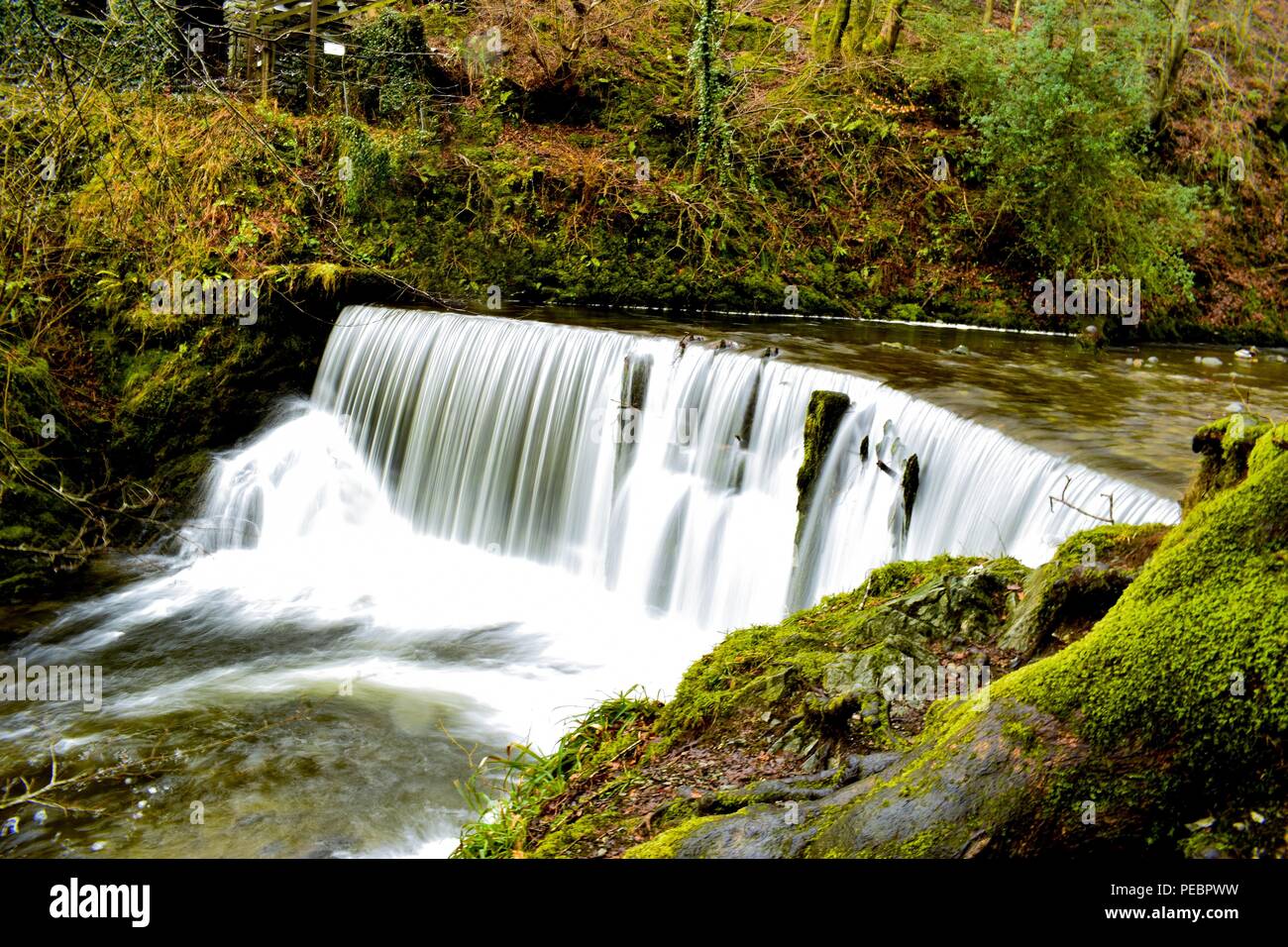 Stock ghyll force waterfall Stock Photo - Alamy