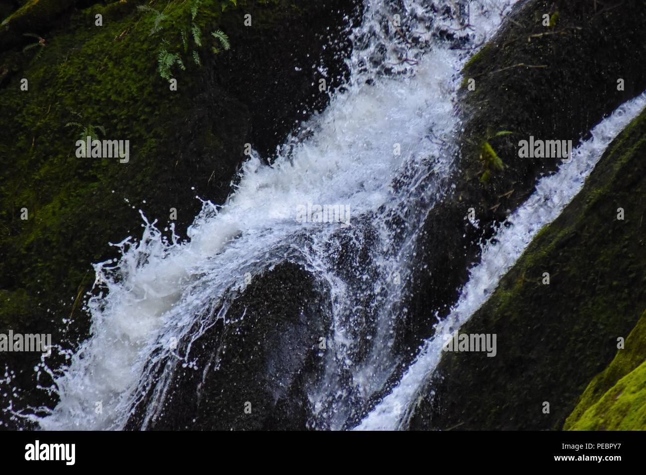 Stock ghyll force waterfall Stock Photo - Alamy