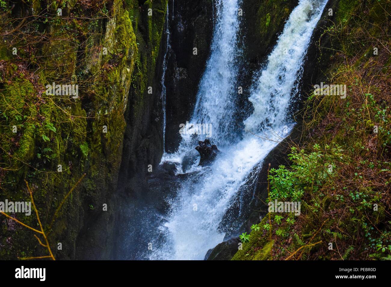Stock ghyll force waterfall Stock Photo - Alamy