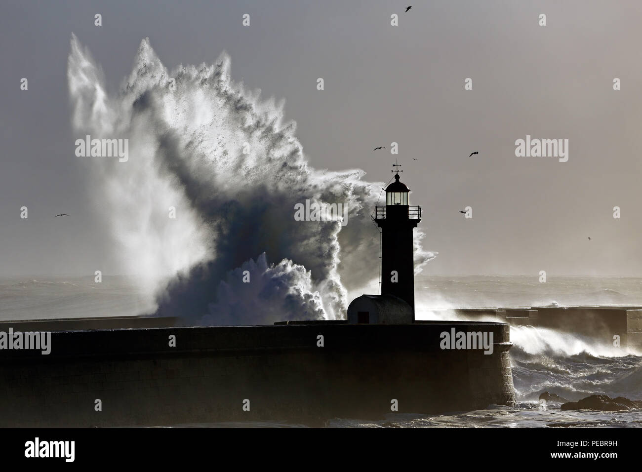 Big wave tsunami over hi-res stock photography and images - Alamy